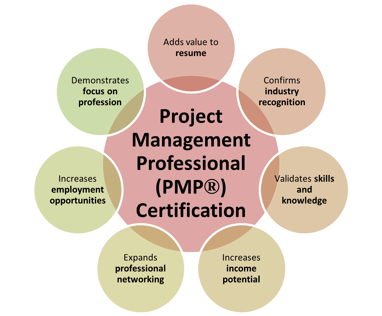 Is PMP Certification Worth It: Salary Increase vs Investment